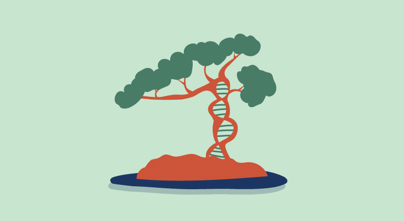 What is Intergenerational Trauma? How it May Be Impacting You