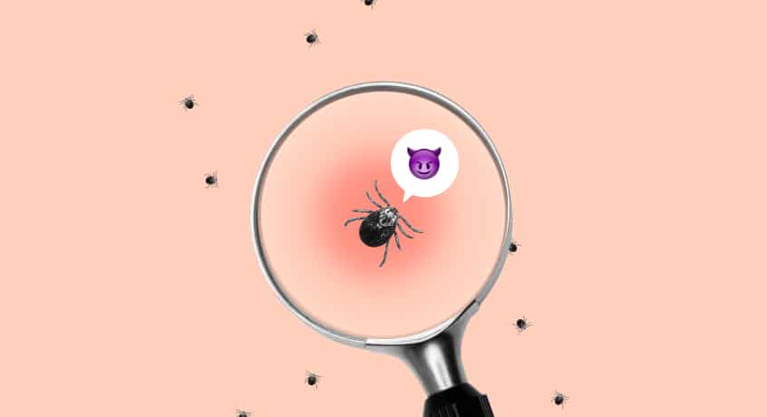 When to Call a Doctor about a Tick - Guides
